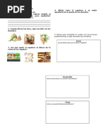 Guia de Adivinanzas de Medios de Transporte | PDF | Aviación | Transporte