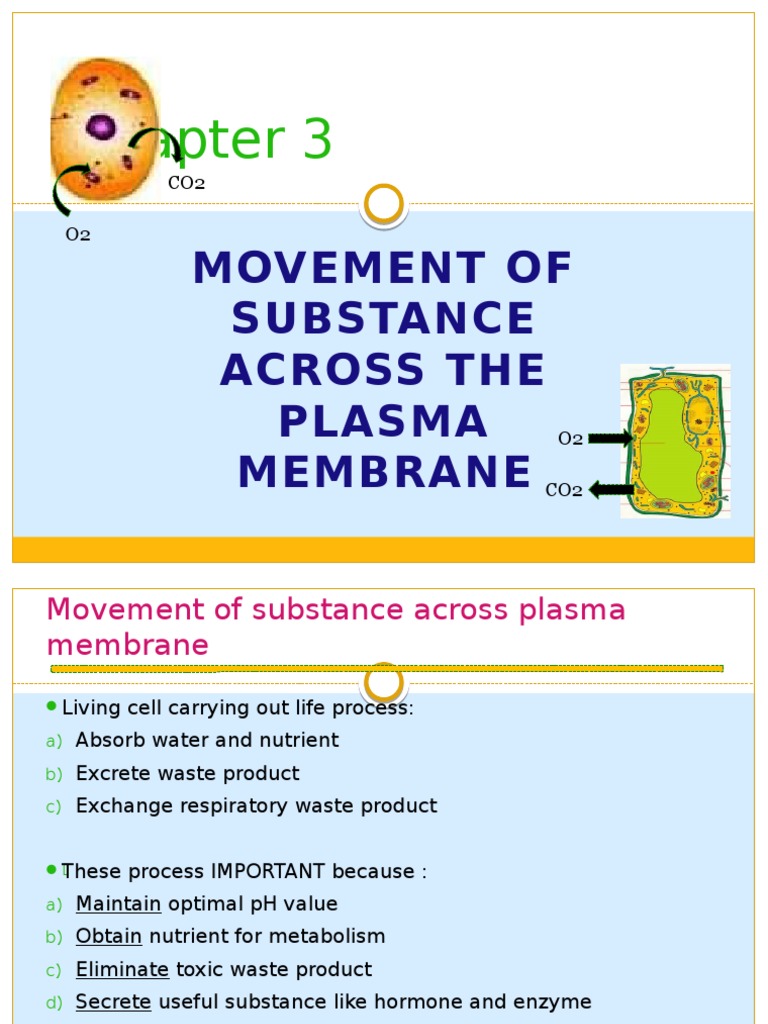 Movement of Substance Across The Plasma Membrane | PDF