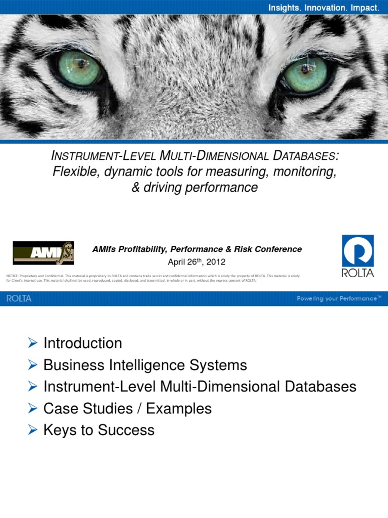 Business Intelligence System and Instrumental Level Multi Dimensional Database | PDF | Business ...
