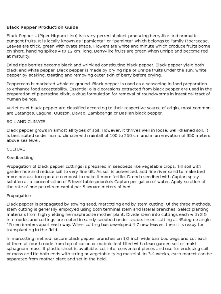 Black Pepper Planting Guide | PDF | Black Pepper | Fertilizer