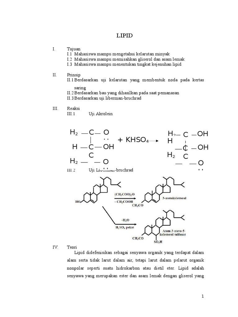 Contoh Laporan 1 Lipid | PDF