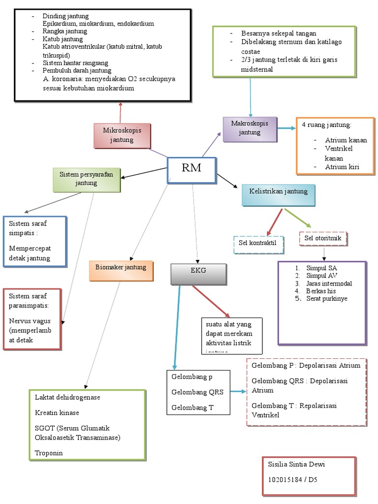 Mindmap Pbl Blok 8 Kardiovaskular