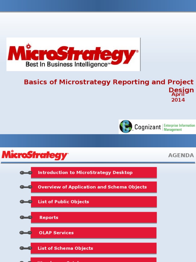 Basics of MicroStrategy Reporting and Project Design | PDF | Business ...