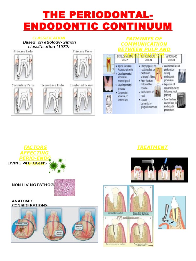 Pathways of Communicatiion Between Pulp and Periodontium ...
