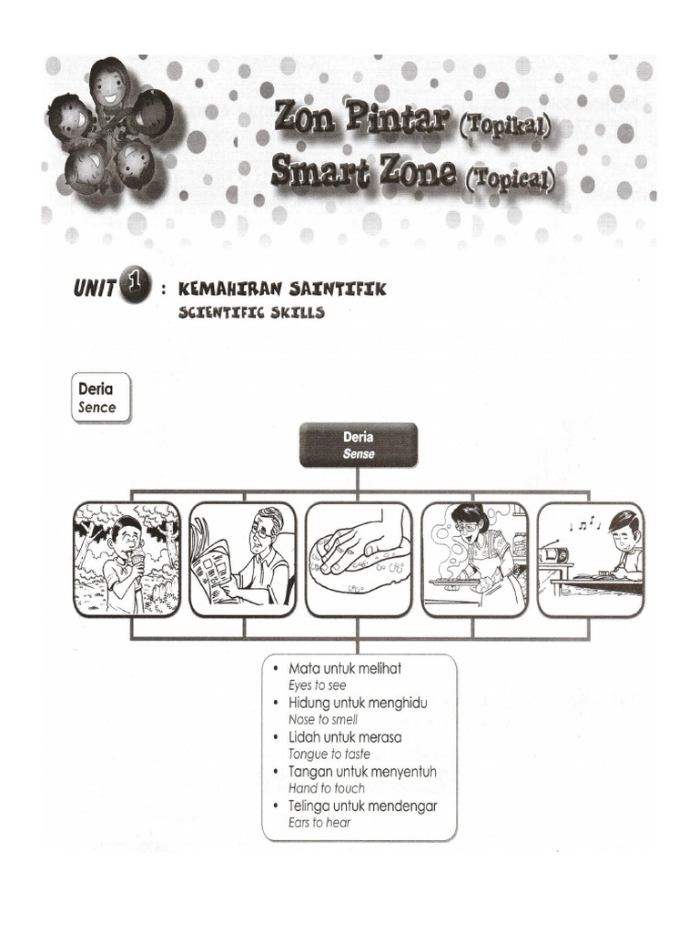 Nota Sains Tahun 1 | PDF