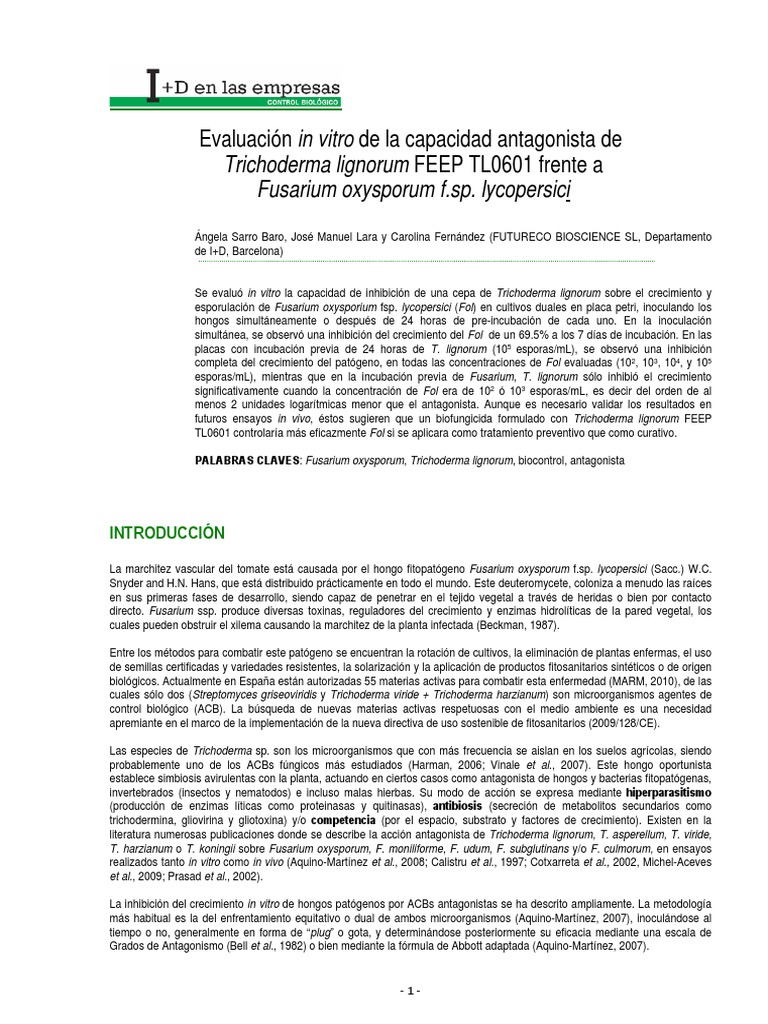 Trichoderma lignorum vs Fusarium: Eficacia In Vitro | PDF | Insectos ...