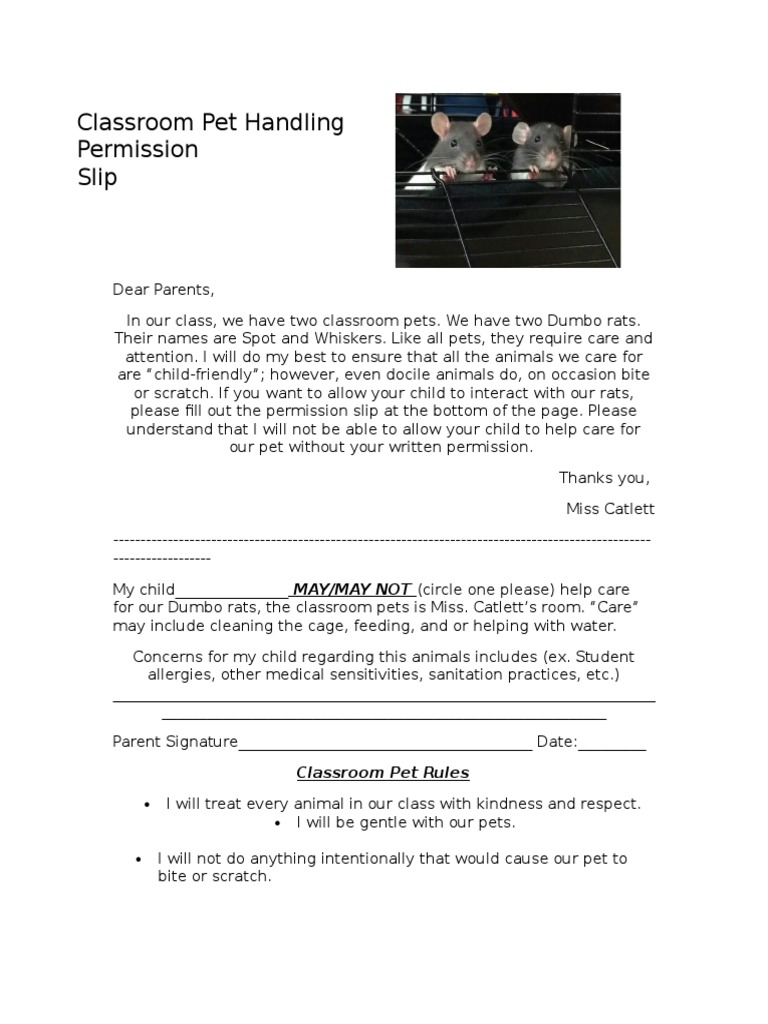 Class Pet Permission Slip | PDF