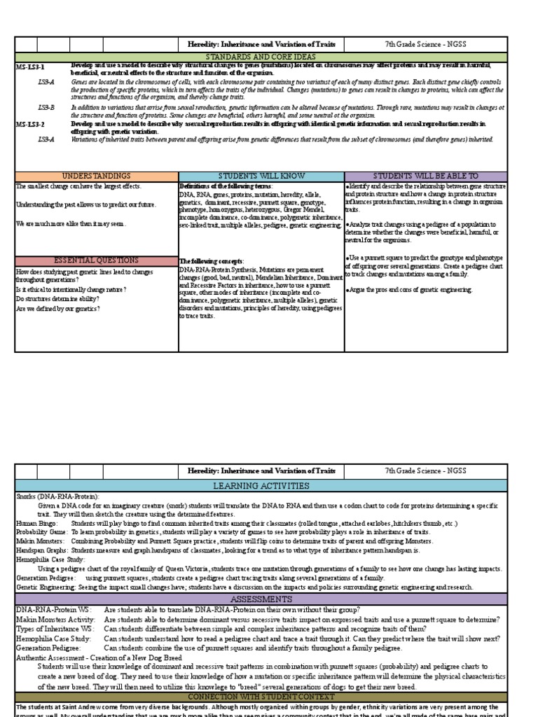 7th Grade Genetics: Traits and Inheritance | PDF | Heredity | Genetics