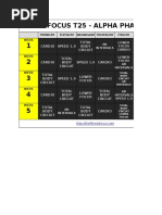 Focus T25 - Alpha Phase 1 2 3 4 5: Cardio SPEED 1.0 Total Body Circuit ...