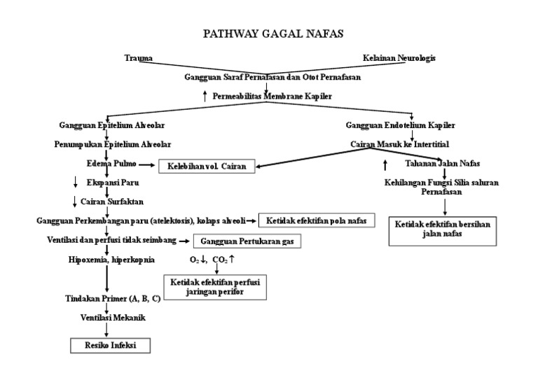 Bagan Pathway Gagal Nafas | PDF