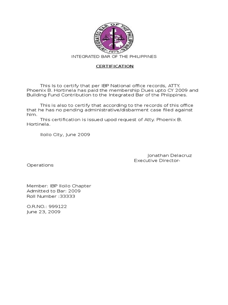 Integrated Bar of The Philippines | PDF | Courts | Judiciaries
