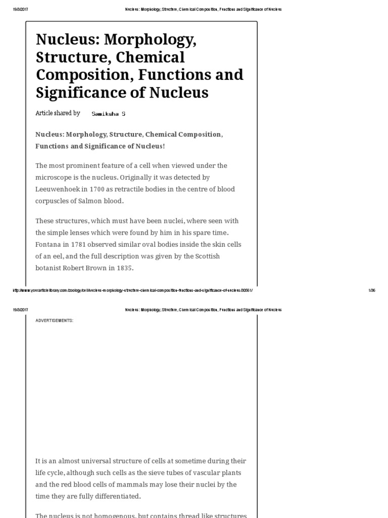 Nucleus Morphology Structure Chemical Composition Functions And
