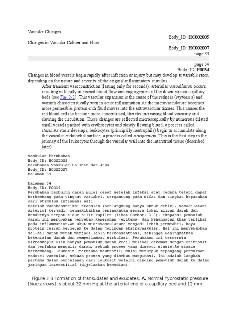 Stasis - As Stasis Develops, Leukocytes (Principally Neutrophils) Begin ...
