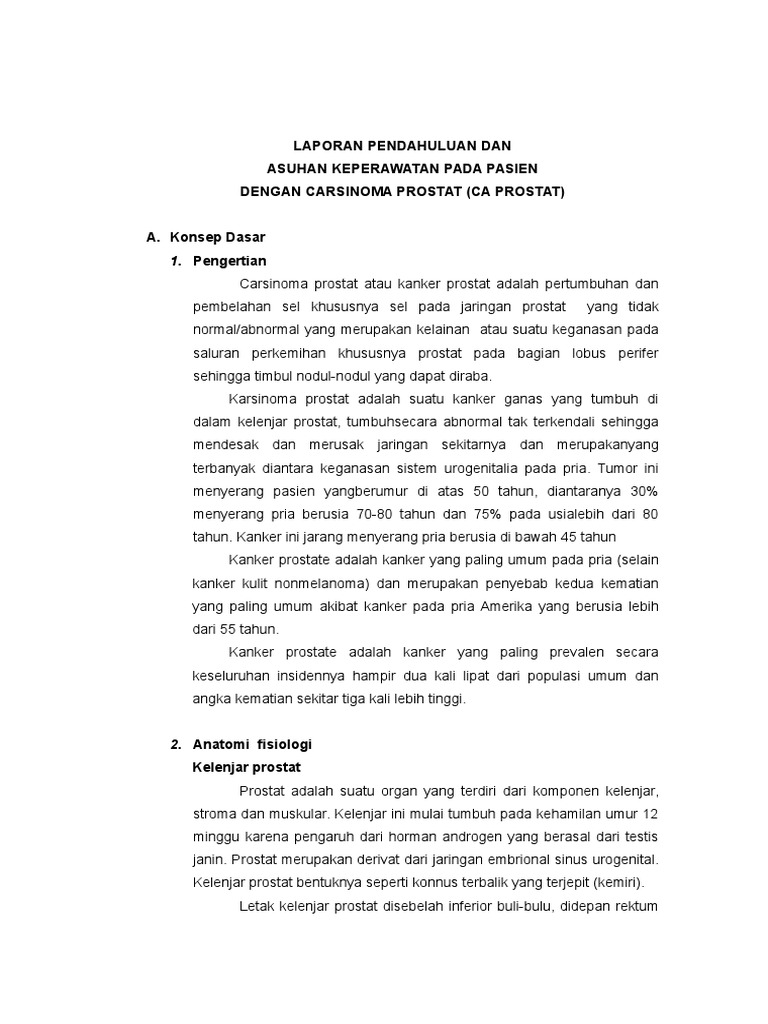 LP CA Prostat Jadi | PDF