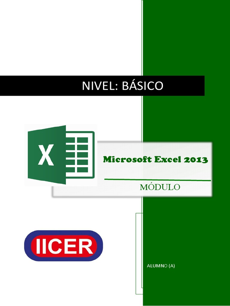 Excel Manual | PDF | Microsoft Excel | Hoja de cálculo