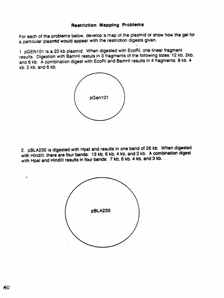 Restriction Mapping PDF | PDF