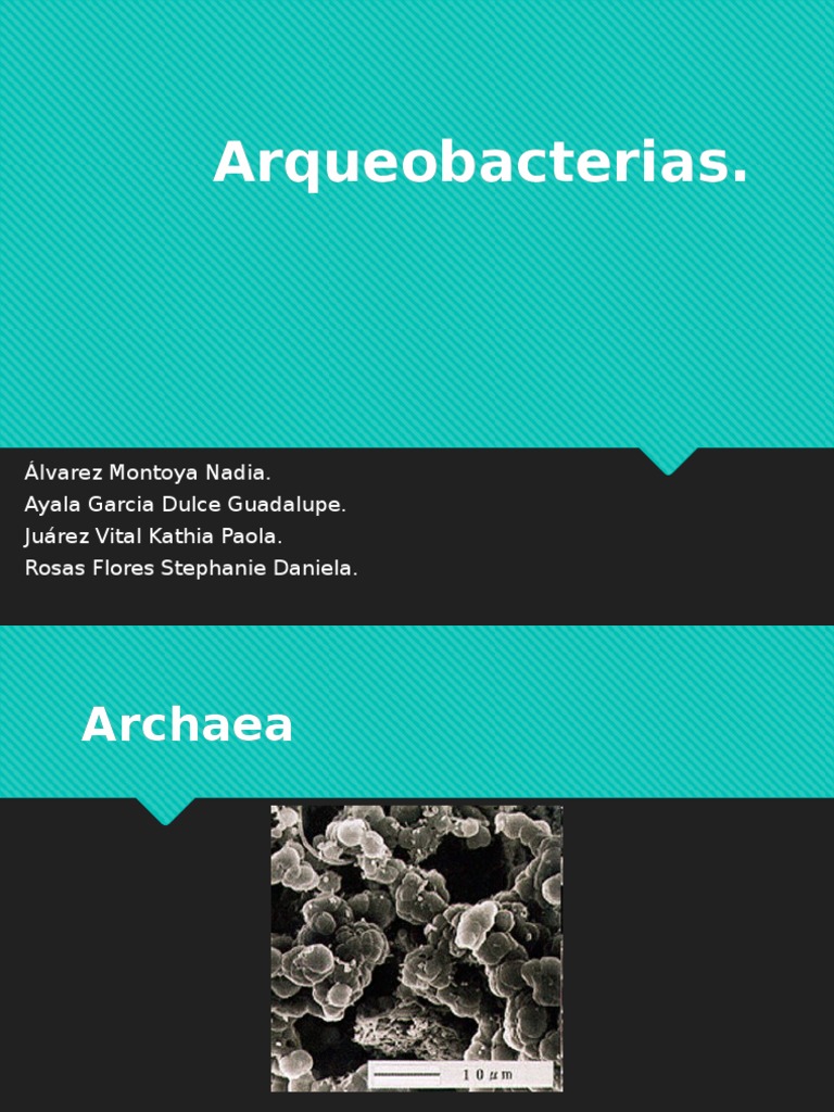 Arqueobacterias: Características y clasificación de un dominio ...