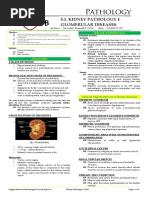IRIS CKD Staging Guide for Dogs and Cats | PDF | Chronic Kidney Disease ...