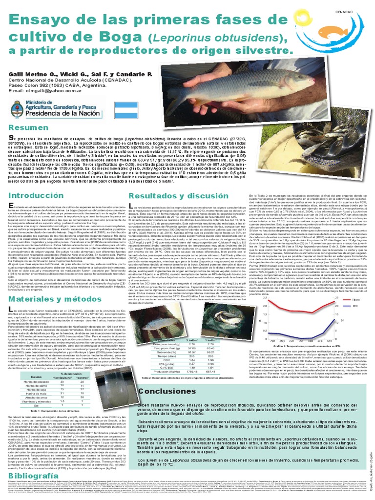 Poster Boga Oscar | PDF | Carne | Alimentos