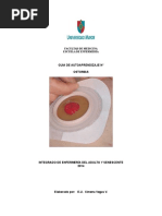 Estomas Intestinales | PDF | Abdomen | Gastroenterología