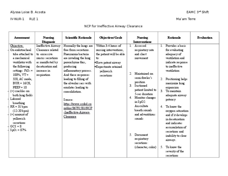 Ineffective Airway Clearance | PDF | Respiratory Tract | Lung