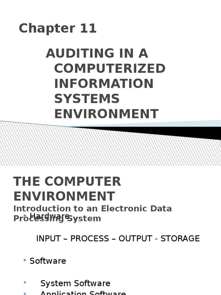 Auditing in A Computerized Information Systems Environment | PDF
