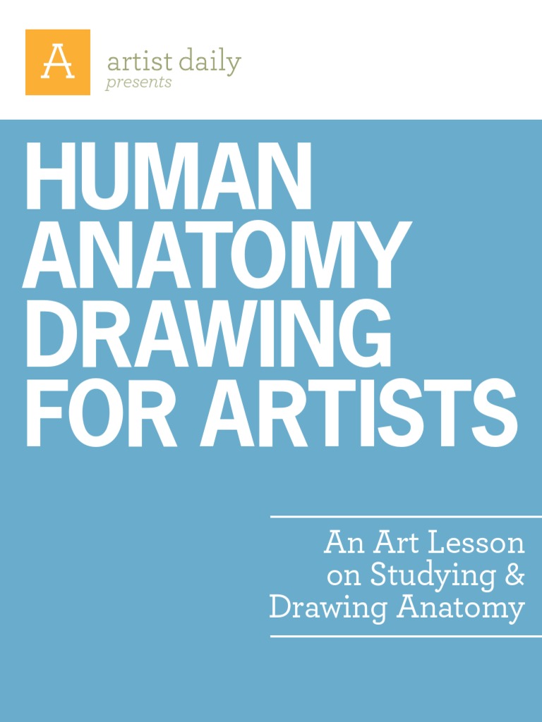 Human Anatomy Drawing For Artists PDF | PDF | Arm | Anatomy