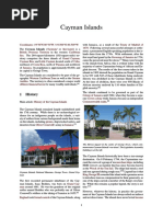 Cayman Islands Temporary Work Permit Application Form | PDF | Cayman ...