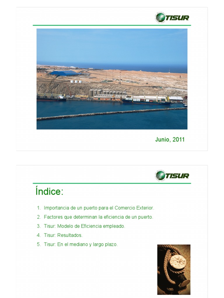 Tisur | PDF | Business | Economias