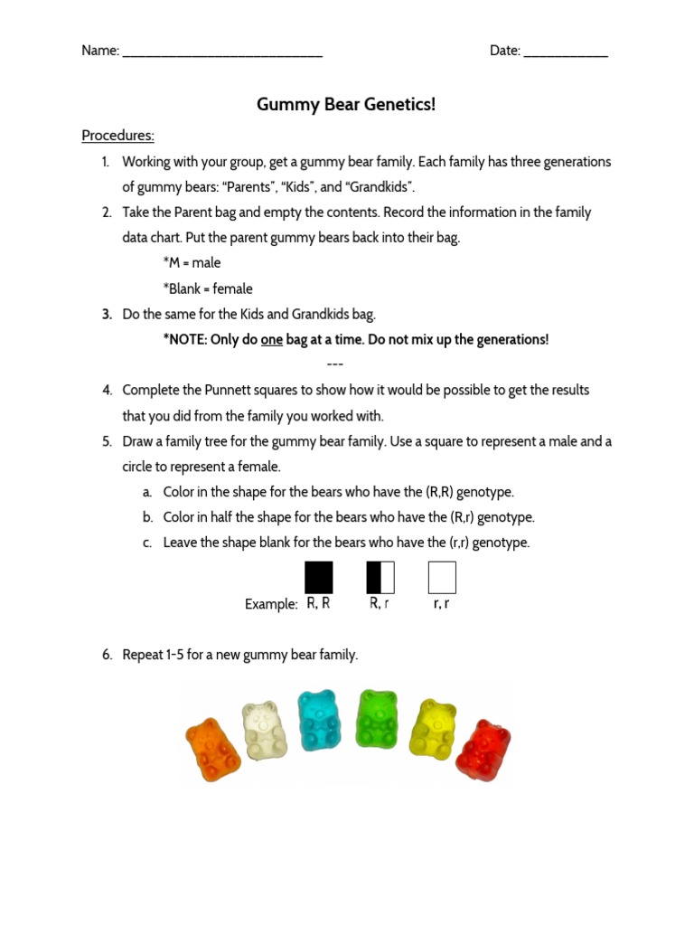 Gummy Bear Genetics Activity Guide | PDF | Genetics | Biology