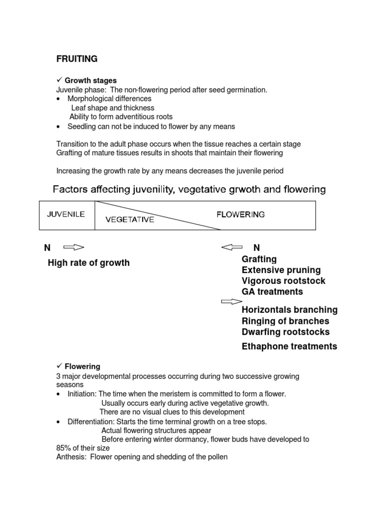 Flower Initiation and Development | PDF | Plant Hormone | Pollination