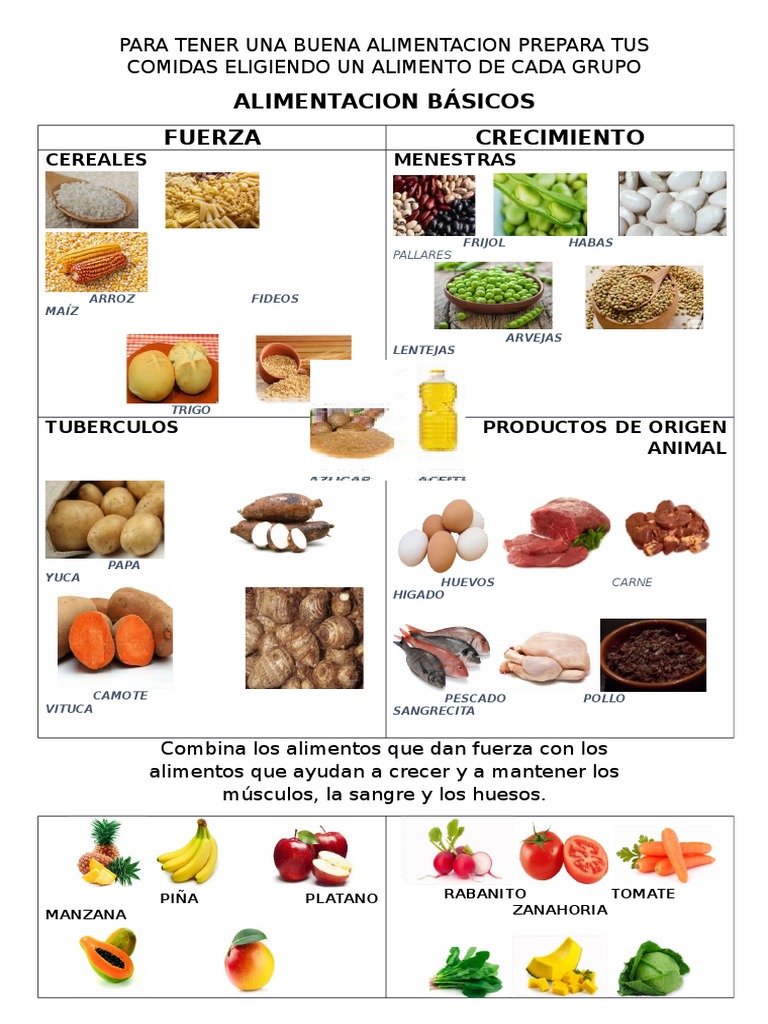Alimentacion Básicos | PDF | Huevo como alimento | Alimentos