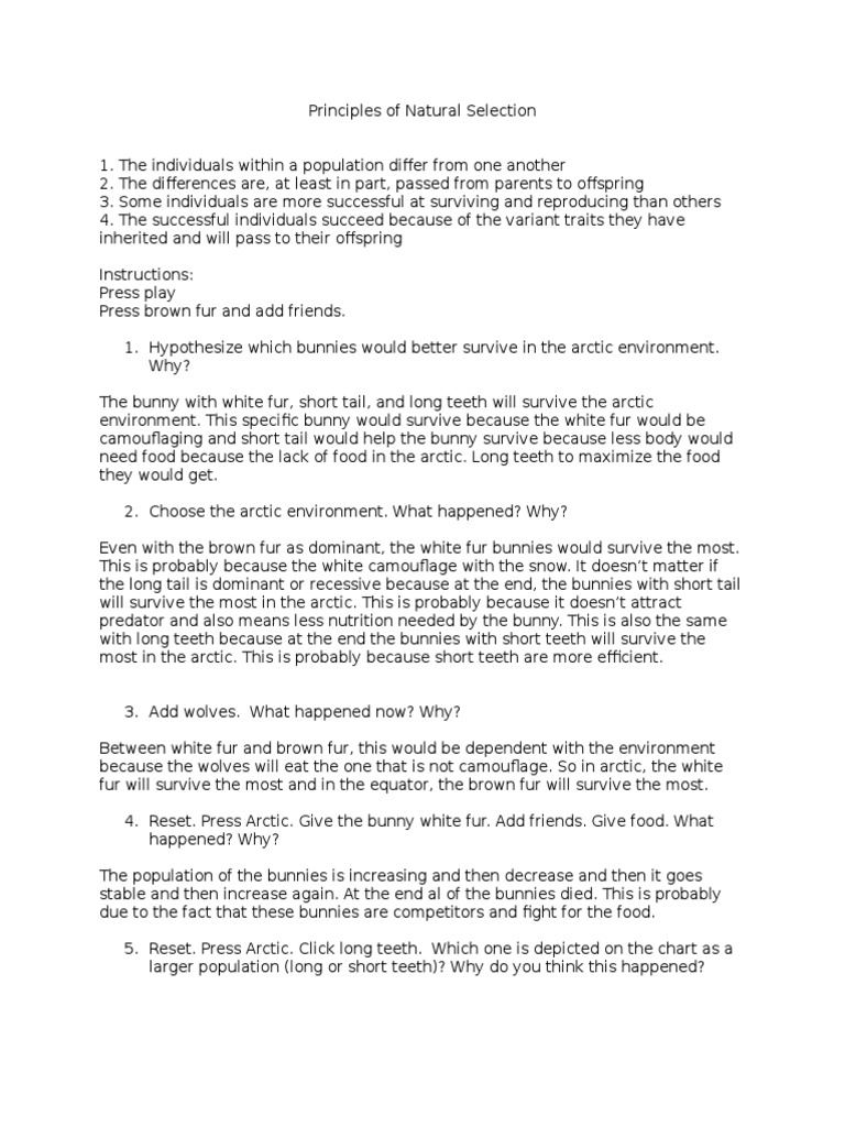 Natural Selection Activity | PDF | Natural Selection | Rabbit