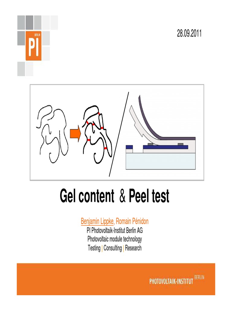 Gel Content & Peel Test: Benjamin Lippke, Romain Pénidon | Download ...