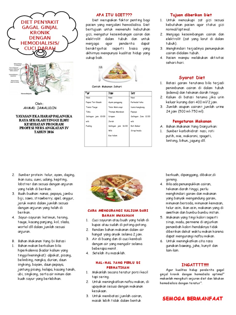 Leaflet Diit CKD | PDF