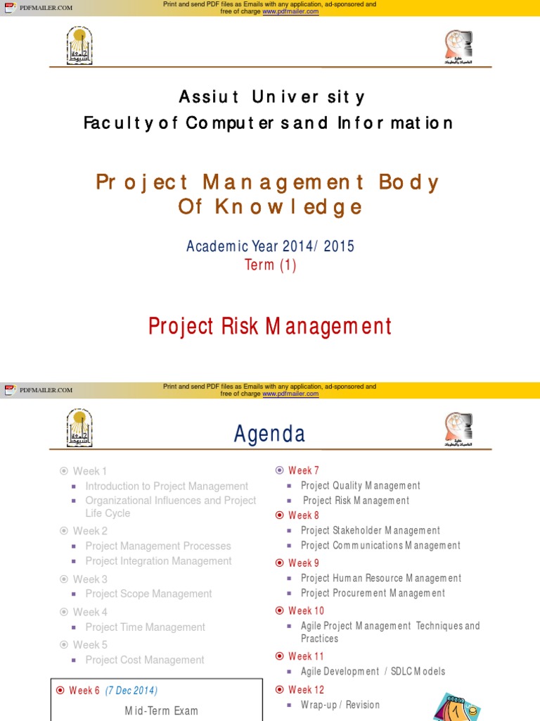 PMBody of Knowledge (Risk) Leangroup Org | PDF | Risk Management | Risk