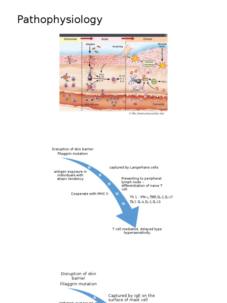 Pathophysiology of Dermatitis Atopic | PDF