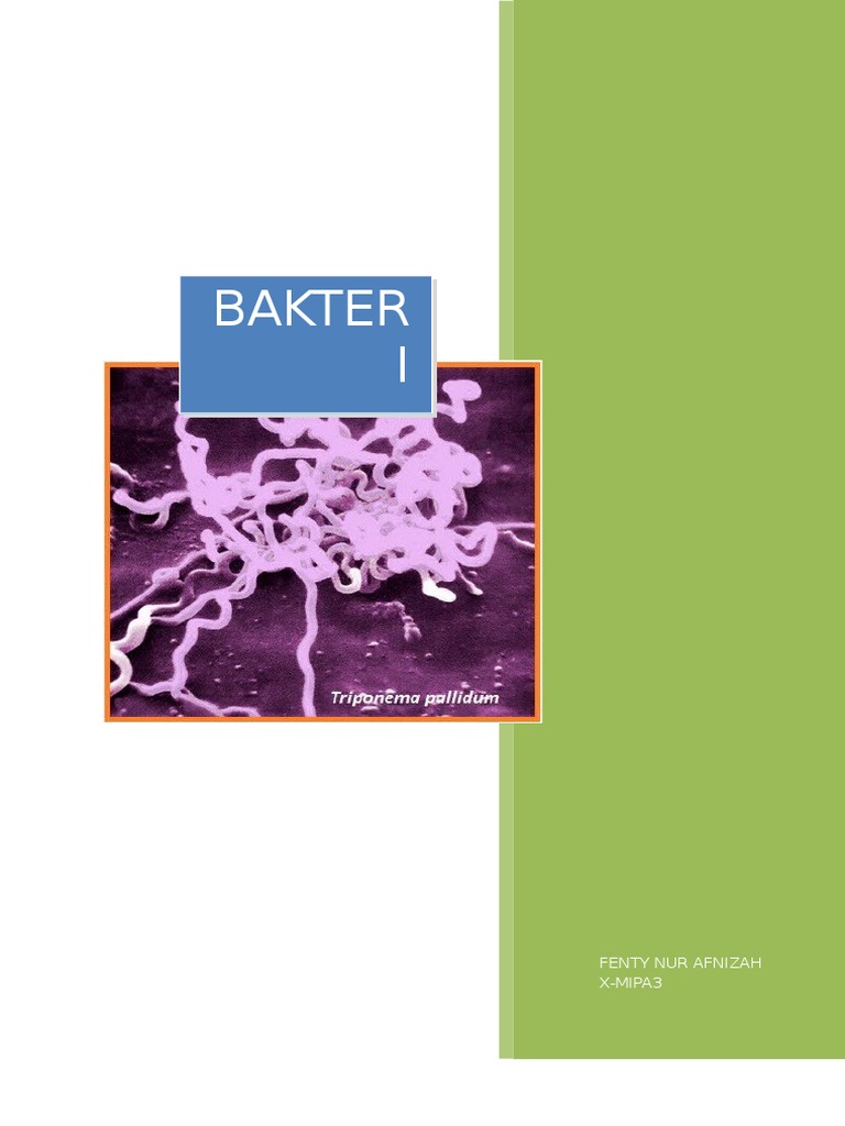 BAKTERI | PDF
