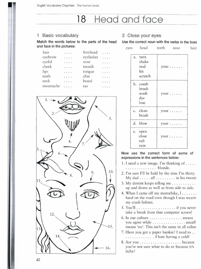 The English Vocabulary Organiser: A Guide to Parts of the Head ...