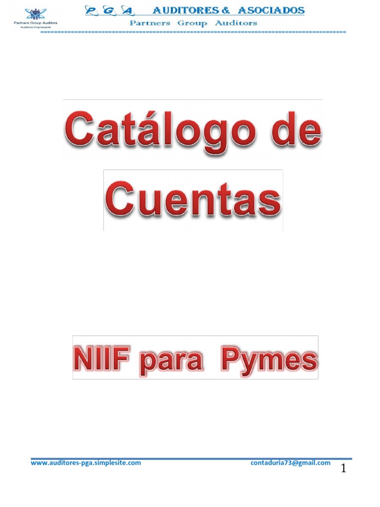 Catalogo de Cuentas - PDF Niif para Pymes 2017 | Contabilidad | Bancos