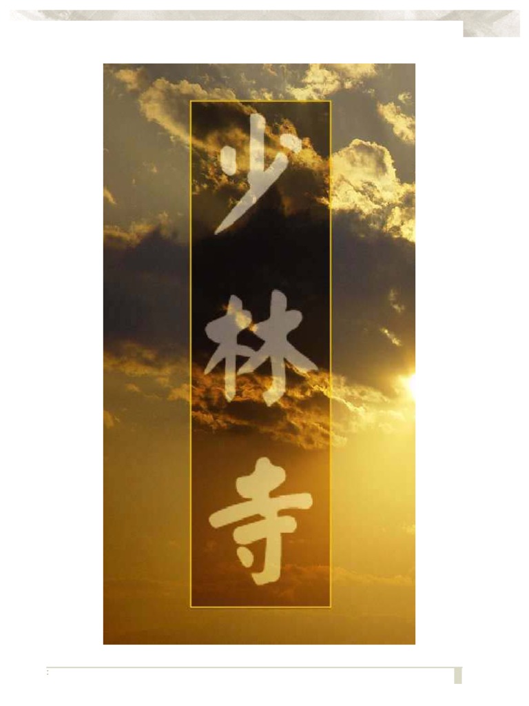 Overview of Shaolin Animal Styles | PDF | Qi | Wing Chun