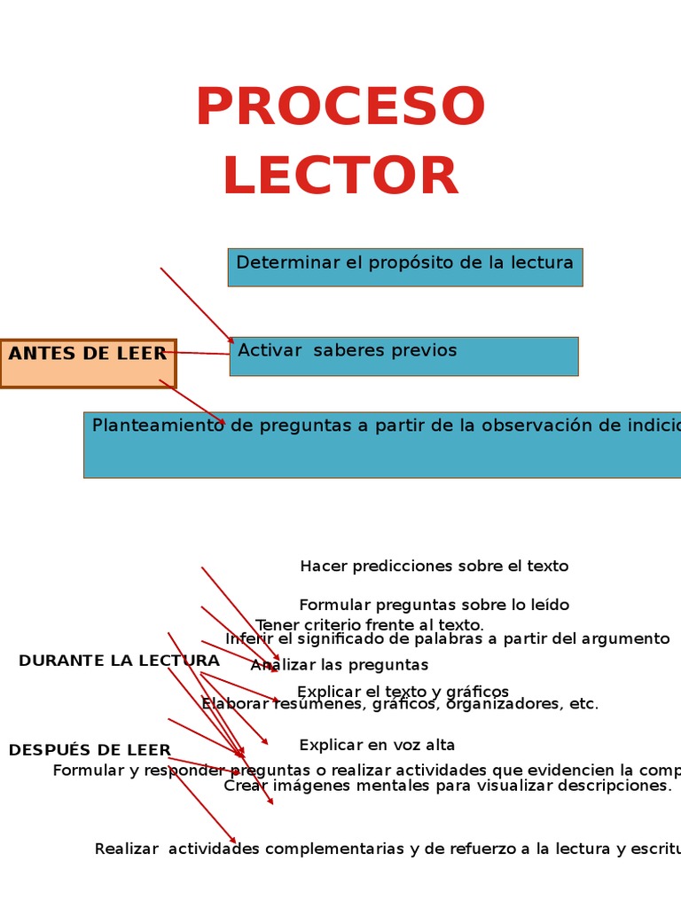 Proceso Lector | PDF | Lectura (proceso) | Realidad