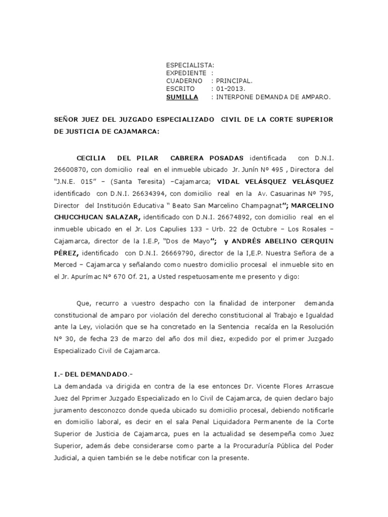 Modelo de Demanda Amparo | PDF | Derecho Constitucional | Ley procesal