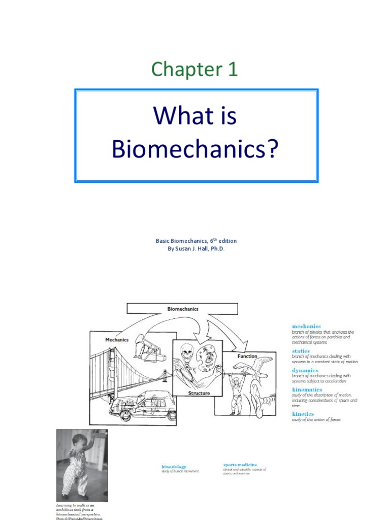 Chapter 1 Biomechanic | PDF | Biomechanics | Force