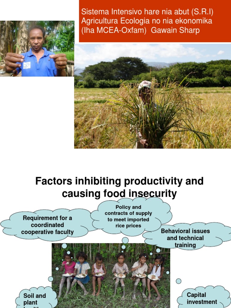 Gawain Sharp On The SRI (System of Rice Intensification) and Its ...