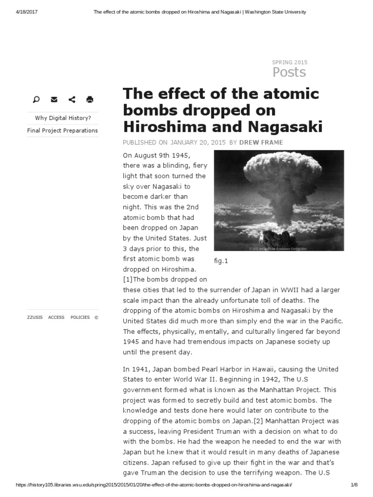 The Effect of The Atomic Bombs Dropped On Hiroshima and Nagasaki ...