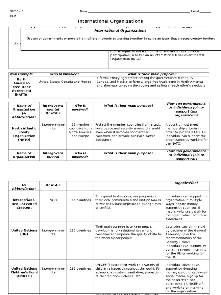 International Organization Notes Complete | PDF | Non Governmental ...
