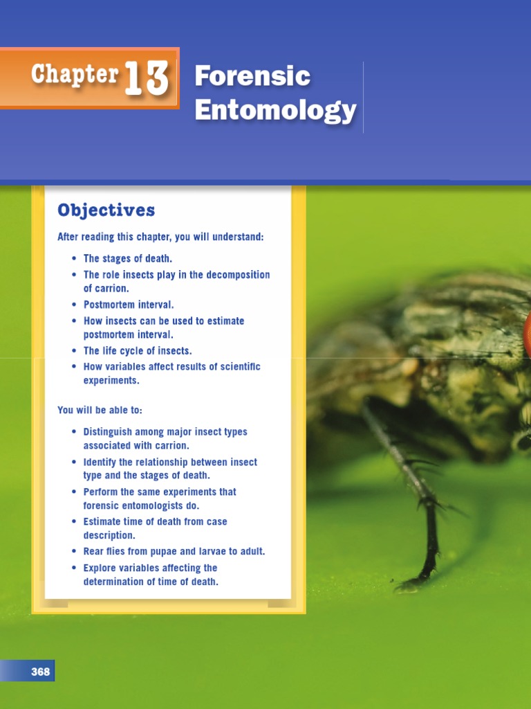 CH 13 Forensic Entomology | PDF | Insects | Beetle