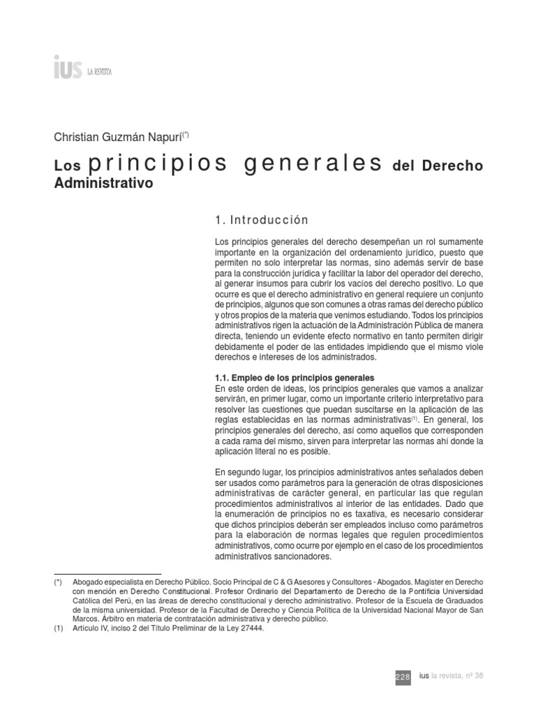 Principios Generales Del Derecho Pdf Constitución Regulación