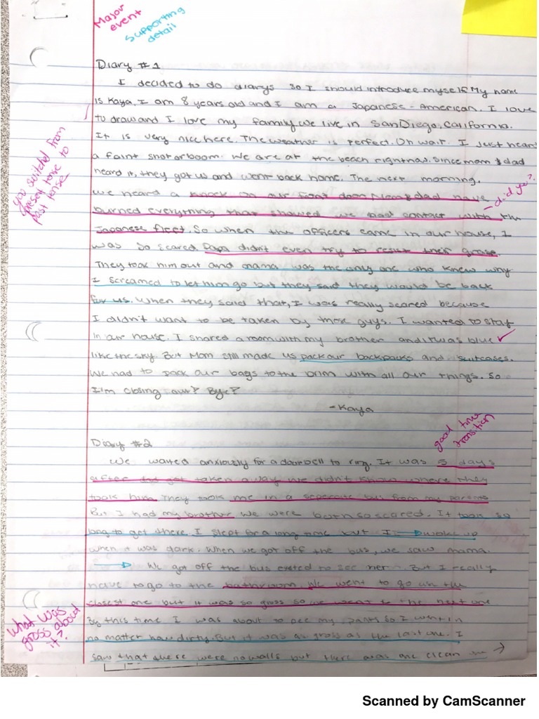 Diary Sample 4 | PDF